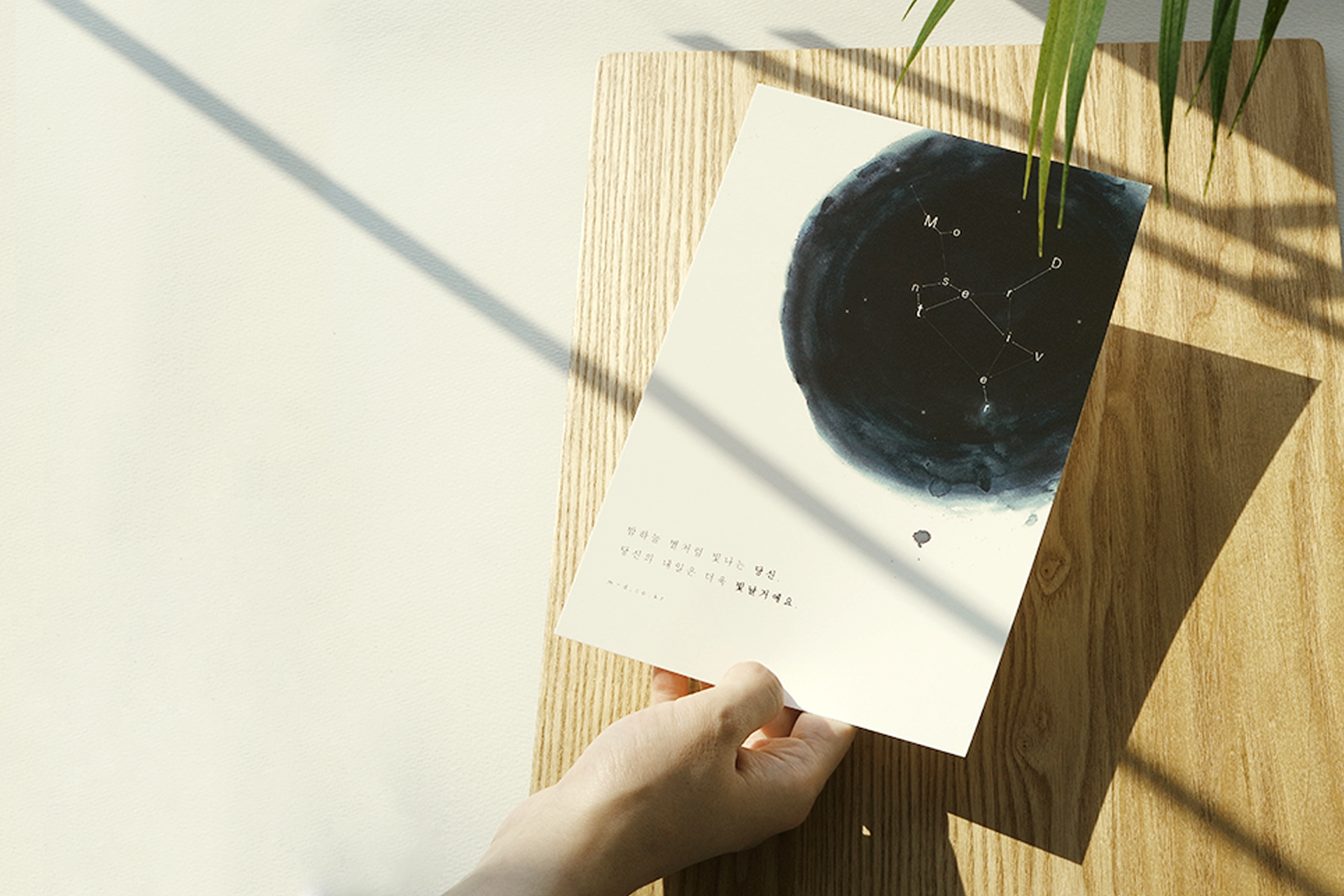 당신의 이야기를 예쁘게 디자인합니다 몬스터다이버